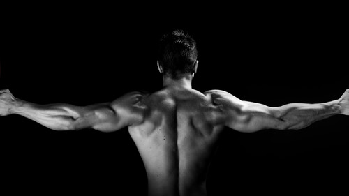 4 ασκήσεις για να δώσεις το κάτι παραπάνω στην Πλάτη σου - RatPack.gr